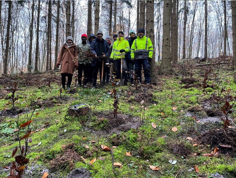 Sustainability - Northland Power